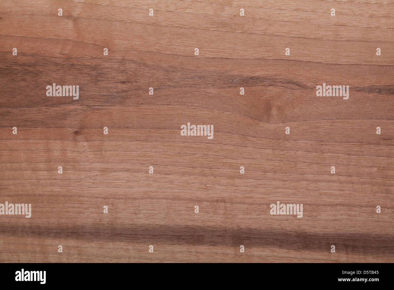 closeup image of natural wood texture Stock Photo - Alamy