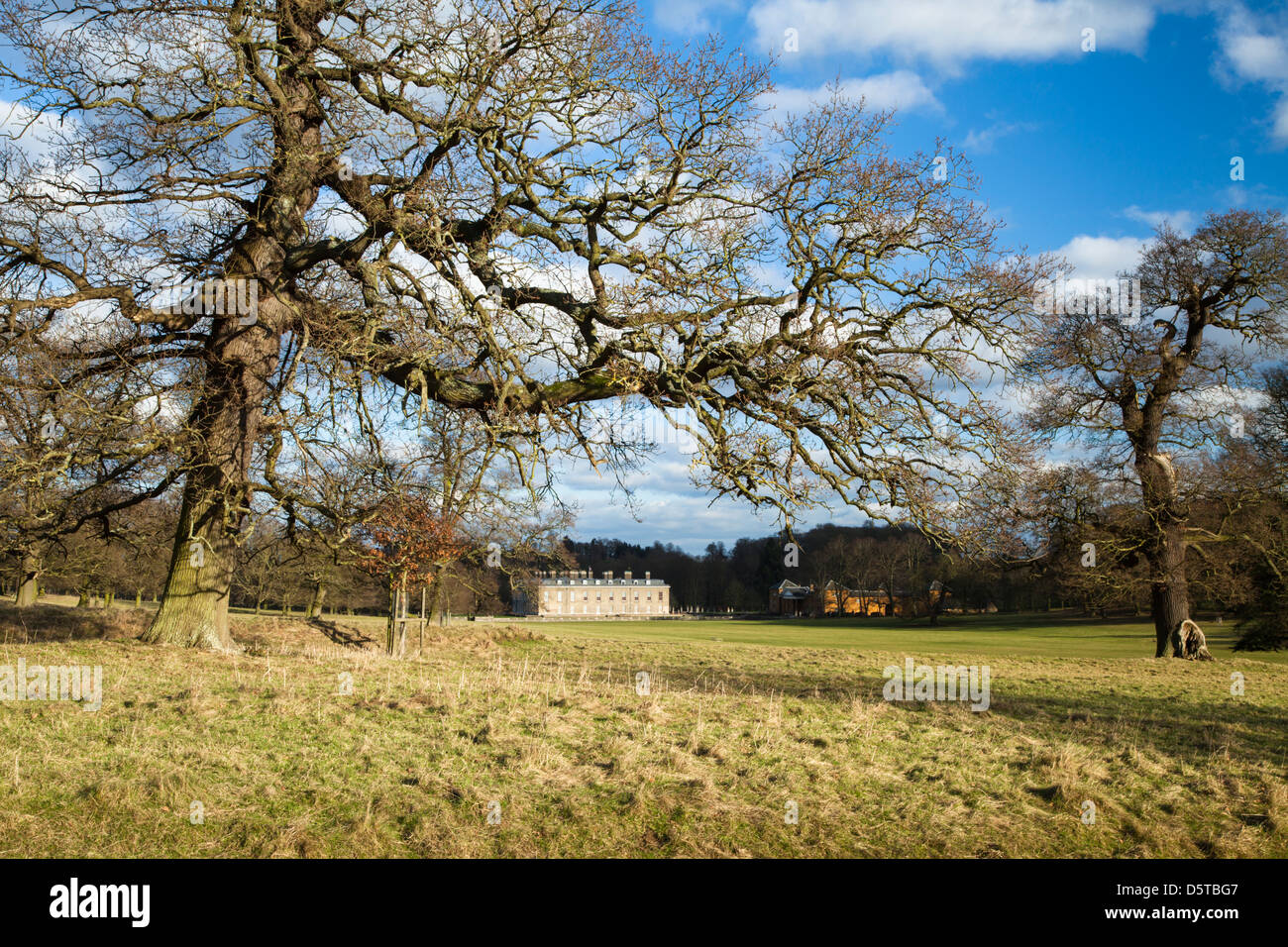 Althorp House and stable-block (right) viewed across the parkland with ...