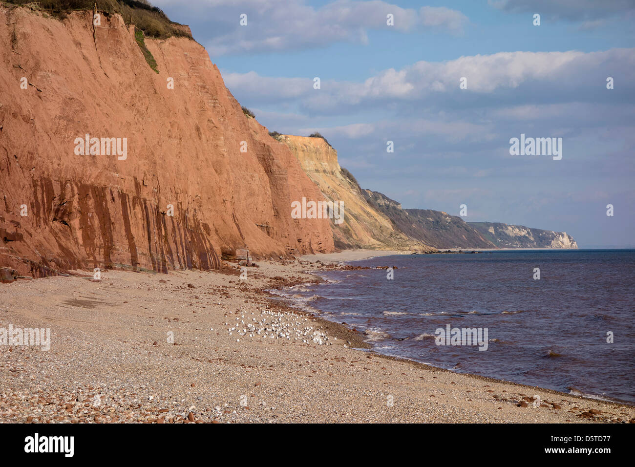 Salcombe hill cliff hi-res stock photography and images - Alamy