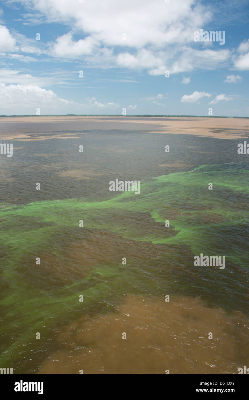 Brazil, Amazon River, Santarem. Meeting of the Waters. Rare bright ...
