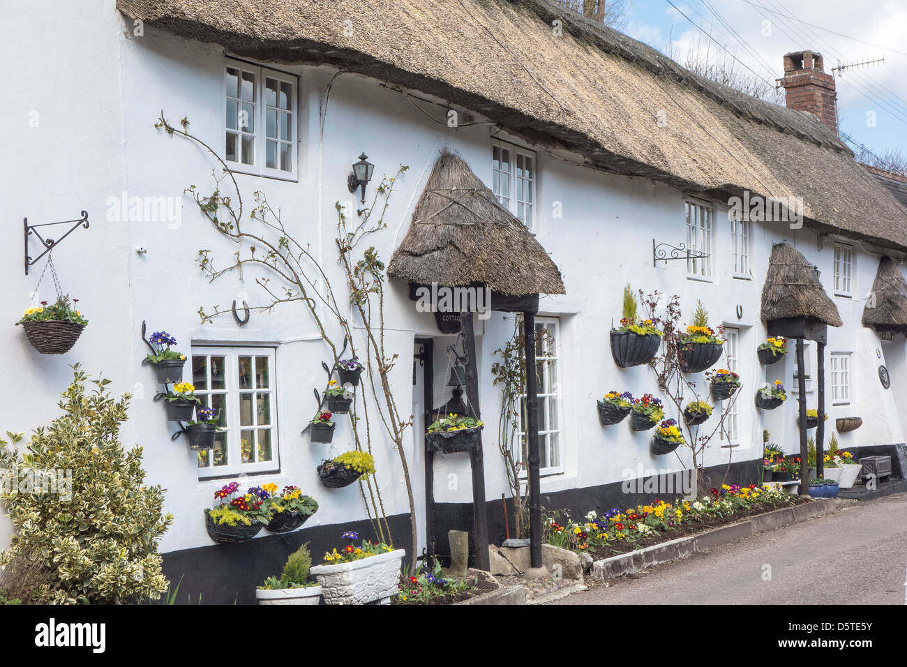 Branscombe Village, Thatched Cottages, Devon, England, UK. Europe Stock ...