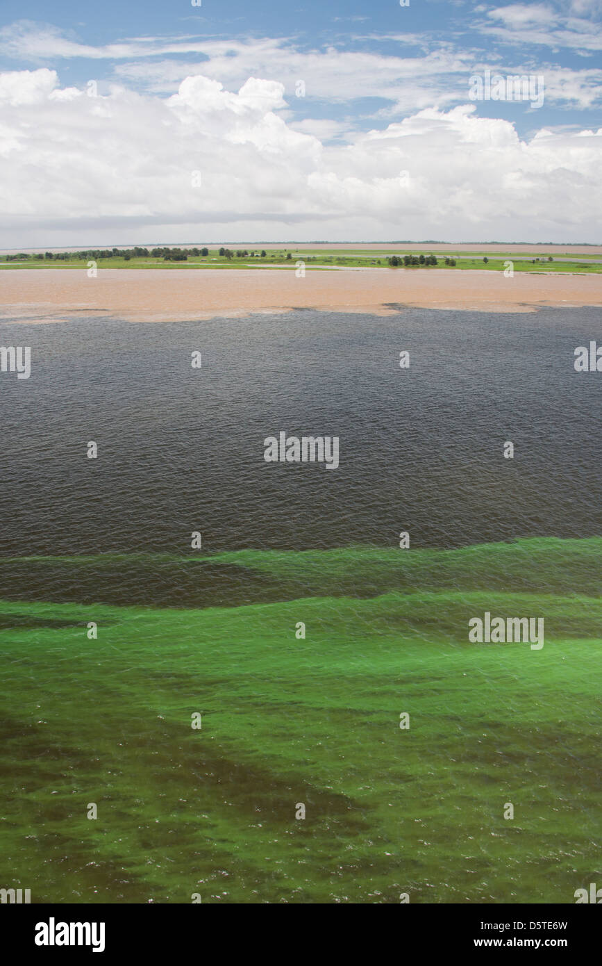 Brazil, Amazon River, Santarem. Meeting of the Waters. Rare bright ...