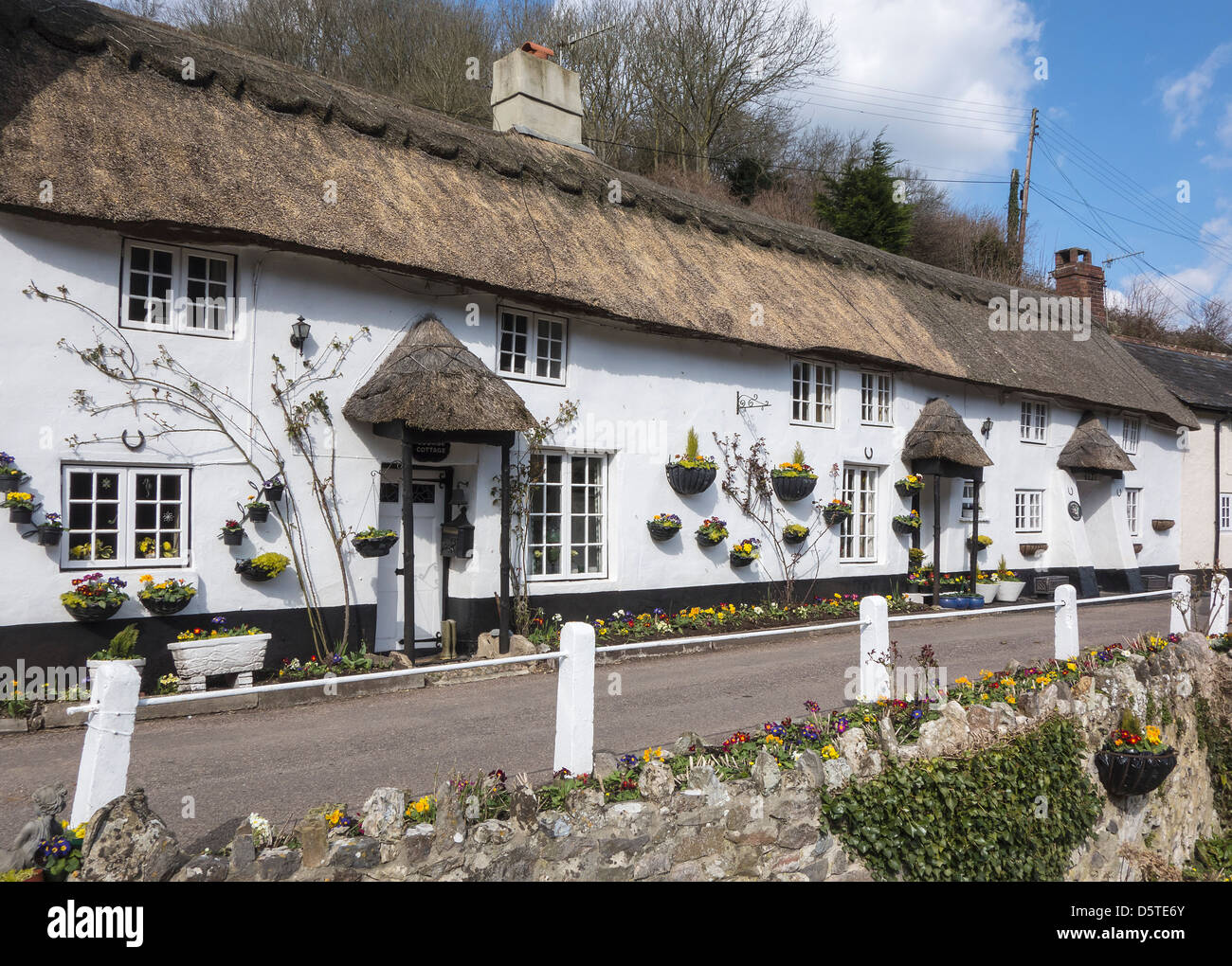 Branscombe Village, Thatched Cottages, Devon, England, UK. Europe Stock ...