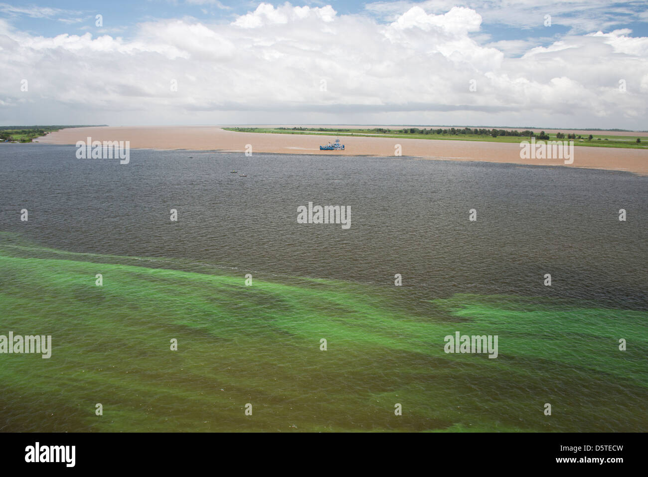 Green plankton hi-res stock photography and images - Alamy