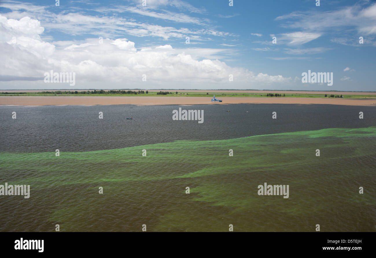 Brazil, Amazon River, Santarem. Meeting of the Waters. Rare bright ...