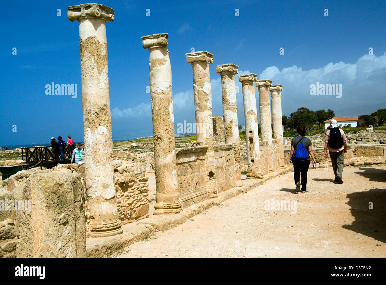 ancient columns house of theseus archaeological park paphos cyprus ...