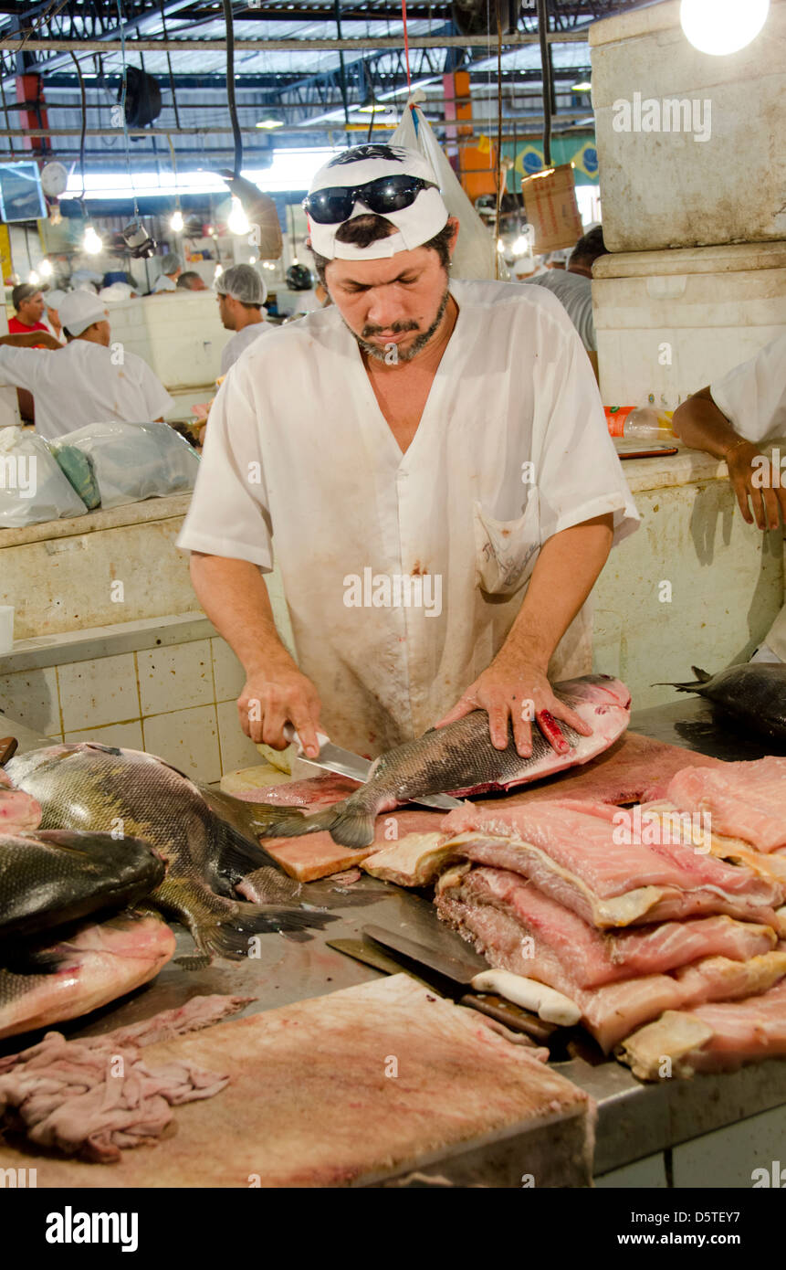 Municipal Fish Market Stock Photos & Municipal Fish Market Stock Images ...