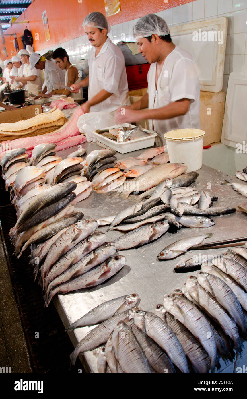 Brazil, Amazon, Manaus. Municipal Market (aka Iron Market or the ...