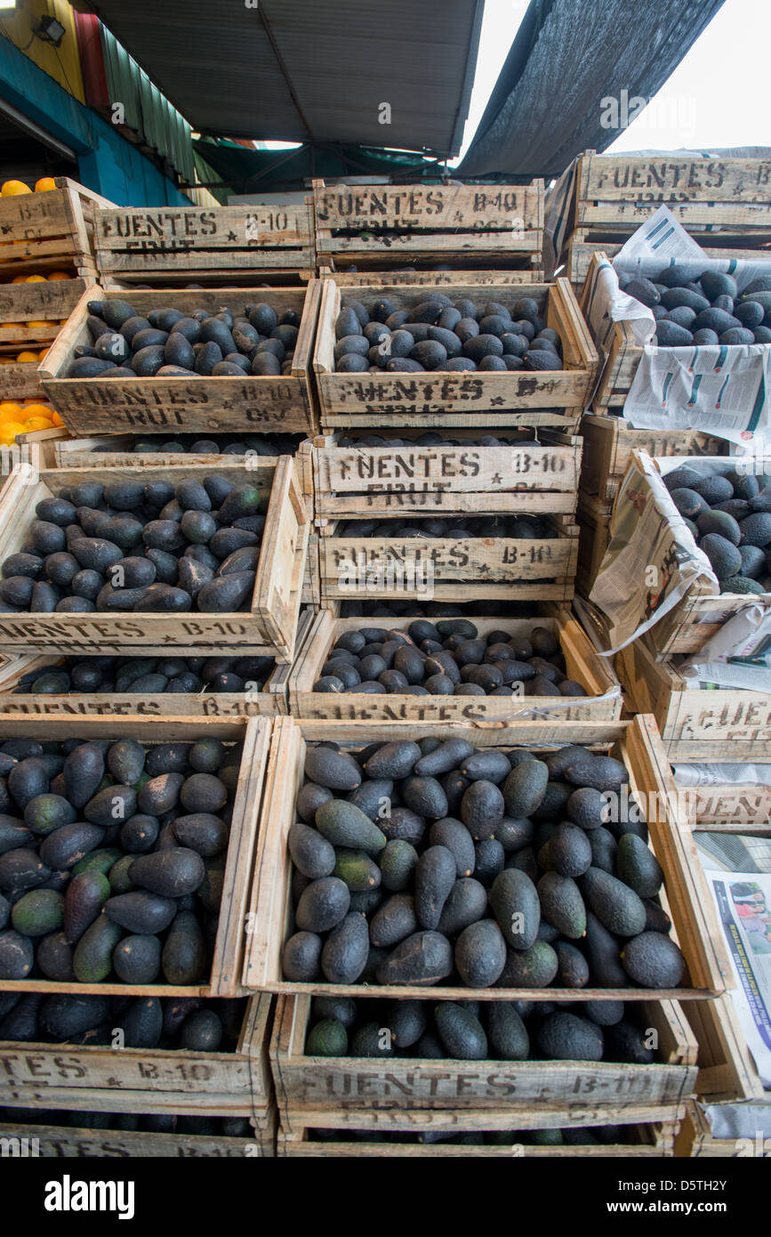 Crates of avocados at Lo Valledor central wholesale produce market in ...
