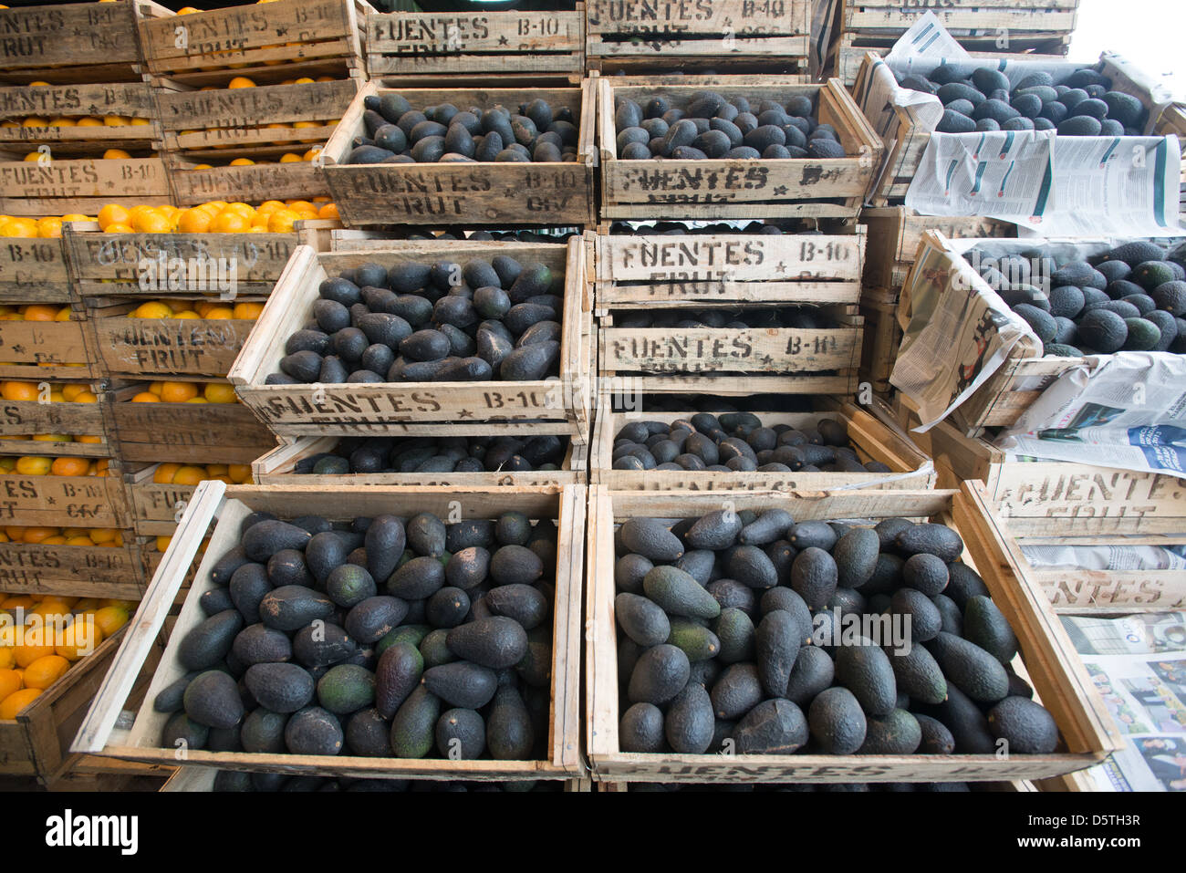 Crates of avocados at Lo Valledor central wholesale produce market in ...