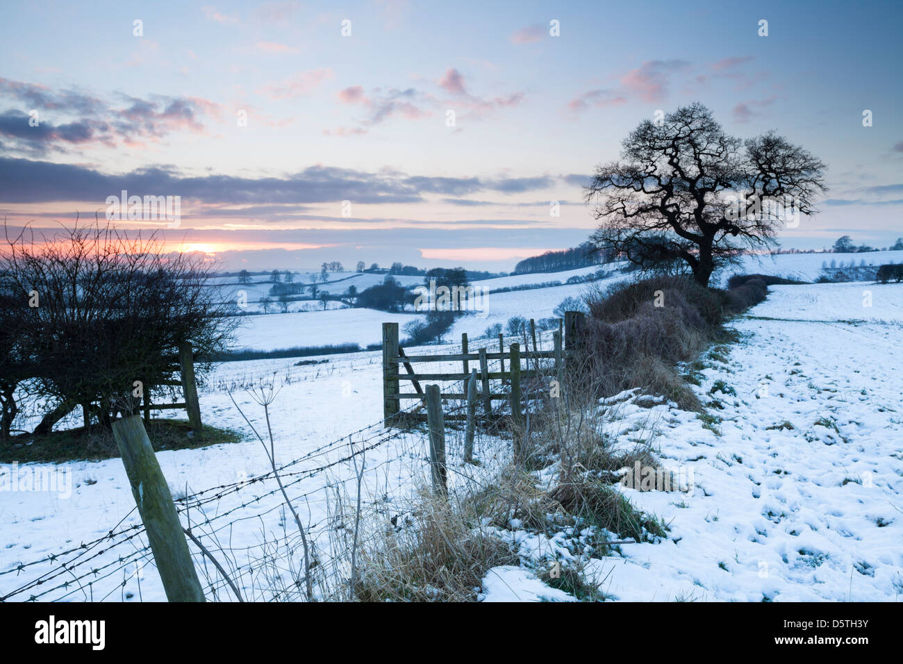 A snow-covered landscape at sunset beside a wide green country track ...