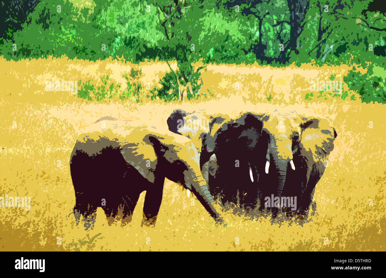 Elep High Resolution Stock Photography and Images - Alamy