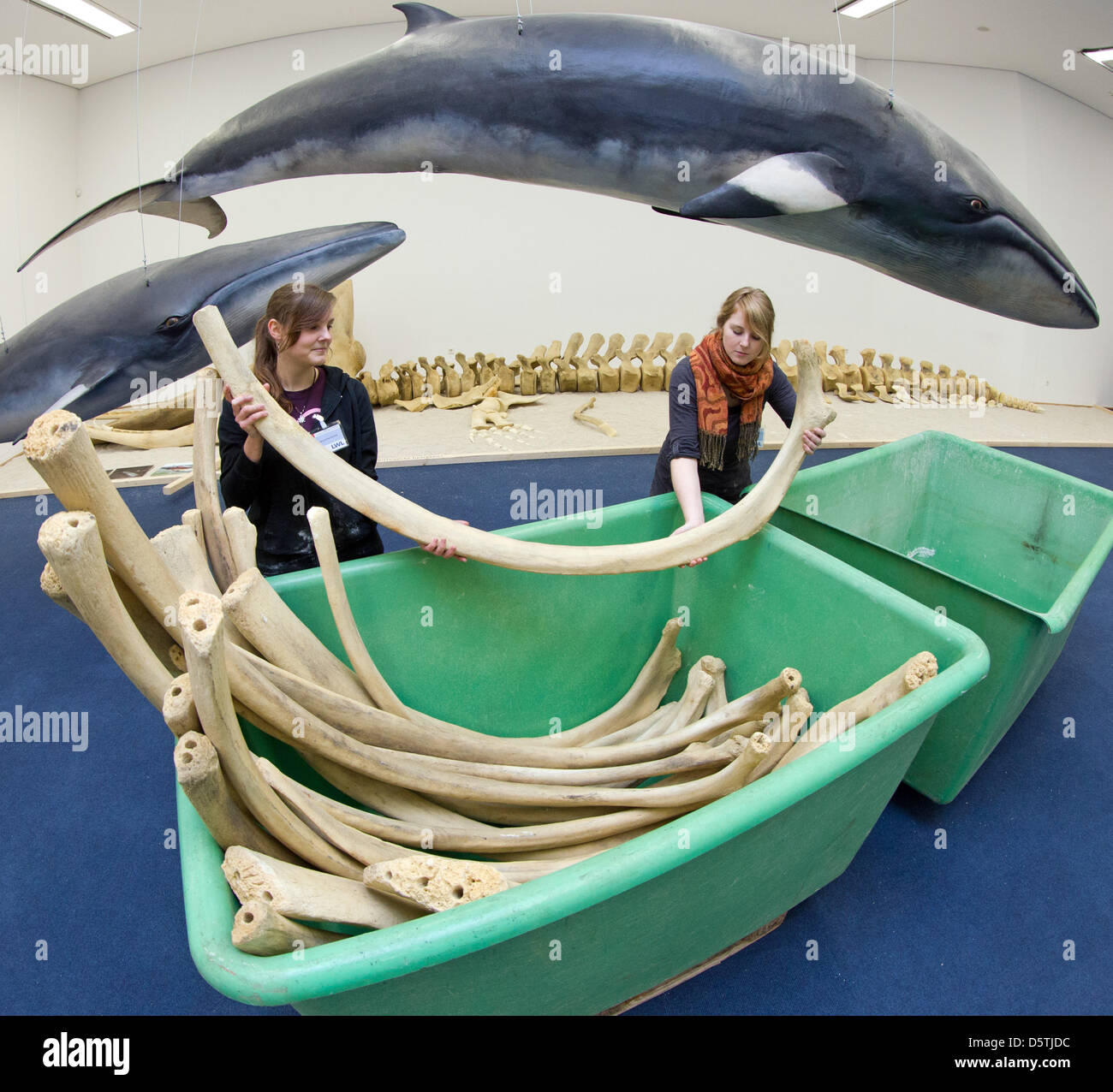 Museum employees Anne Jendretzki (r) and Jacqueline Winkler pose with ...