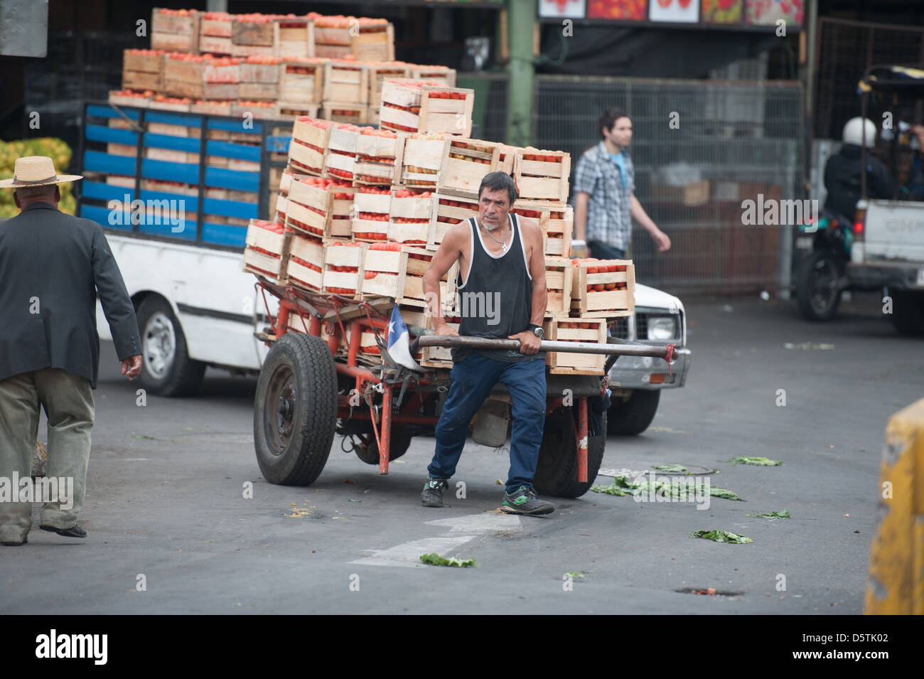 Worker moving vegetables on a truck at Lo Valledor central wholesale ...