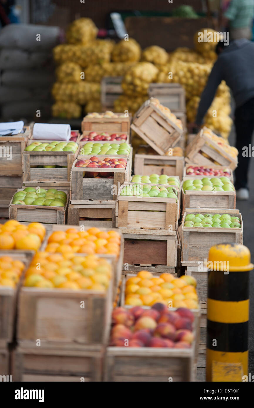 Crates of produce at Lo Valledor central wholesale produce market in ...