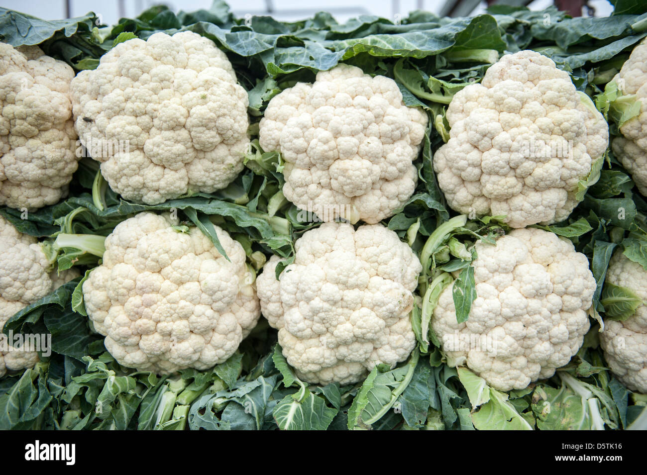 Stack of cauliflower hi-res stock photography and images - Alamy