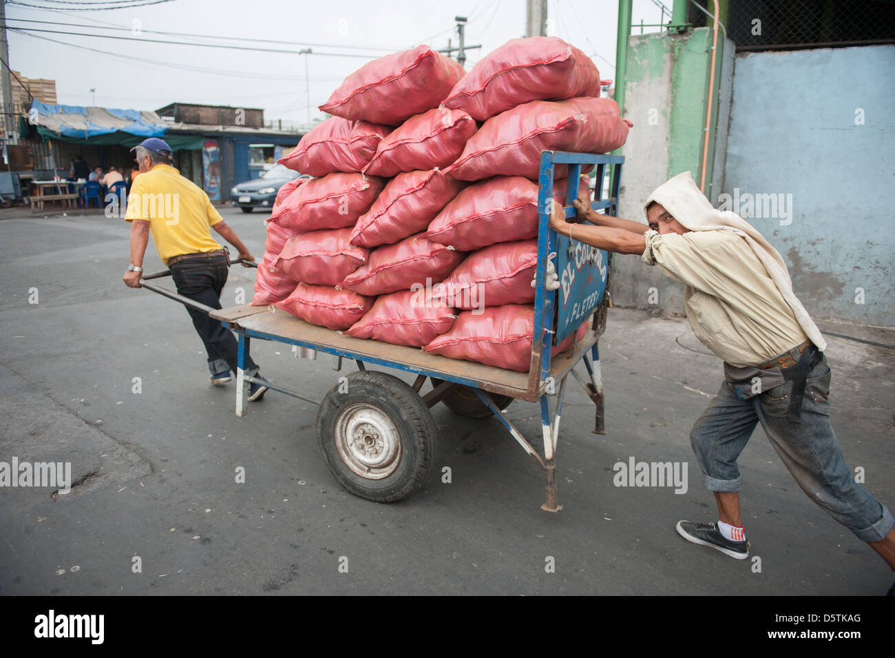 Worker moving vegetables on a truck at Lo Valledor central wholesale ...