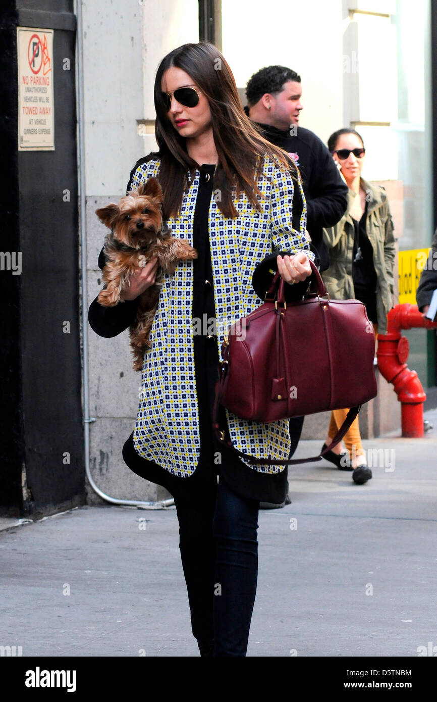 Miranda kerr walks dog in hi-res stock photography and images - Alamy