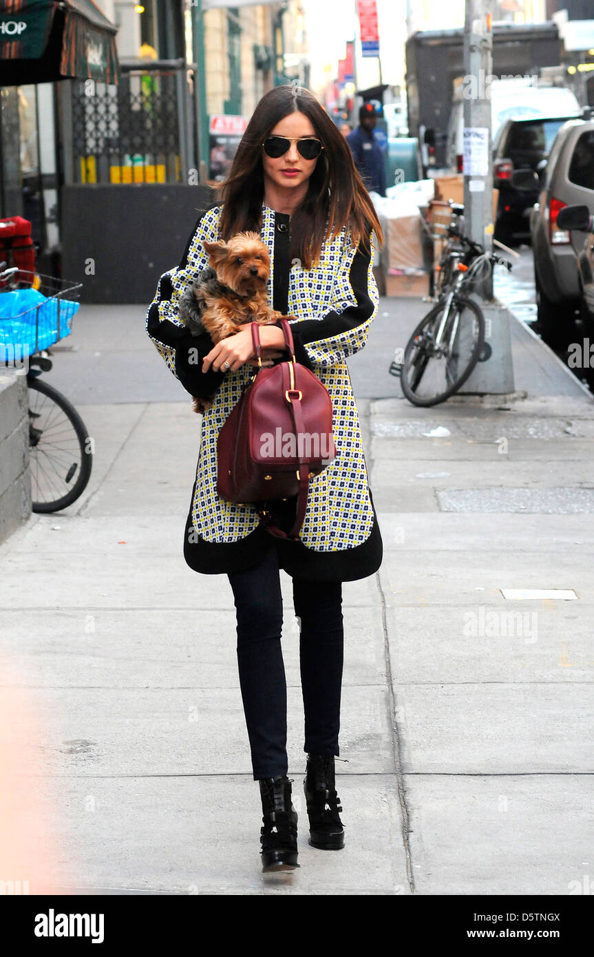 Miranda Kerr walks her dog in Manhattan New York City, USA - 12.03.12 ...