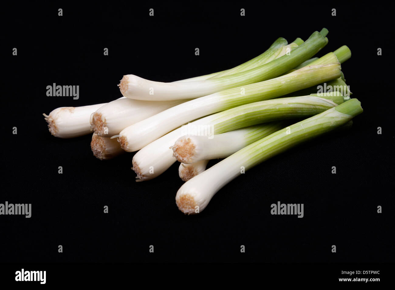 Fresh baby leek on isolated on a black background Stock Photo - Alamy