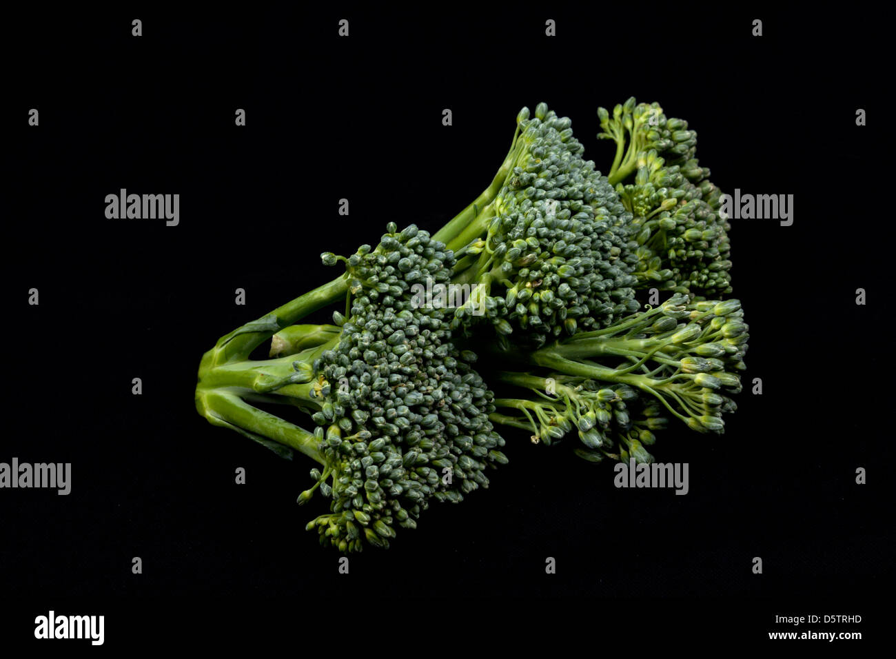 broccoli isolated on black background Stock Photo - Alamy