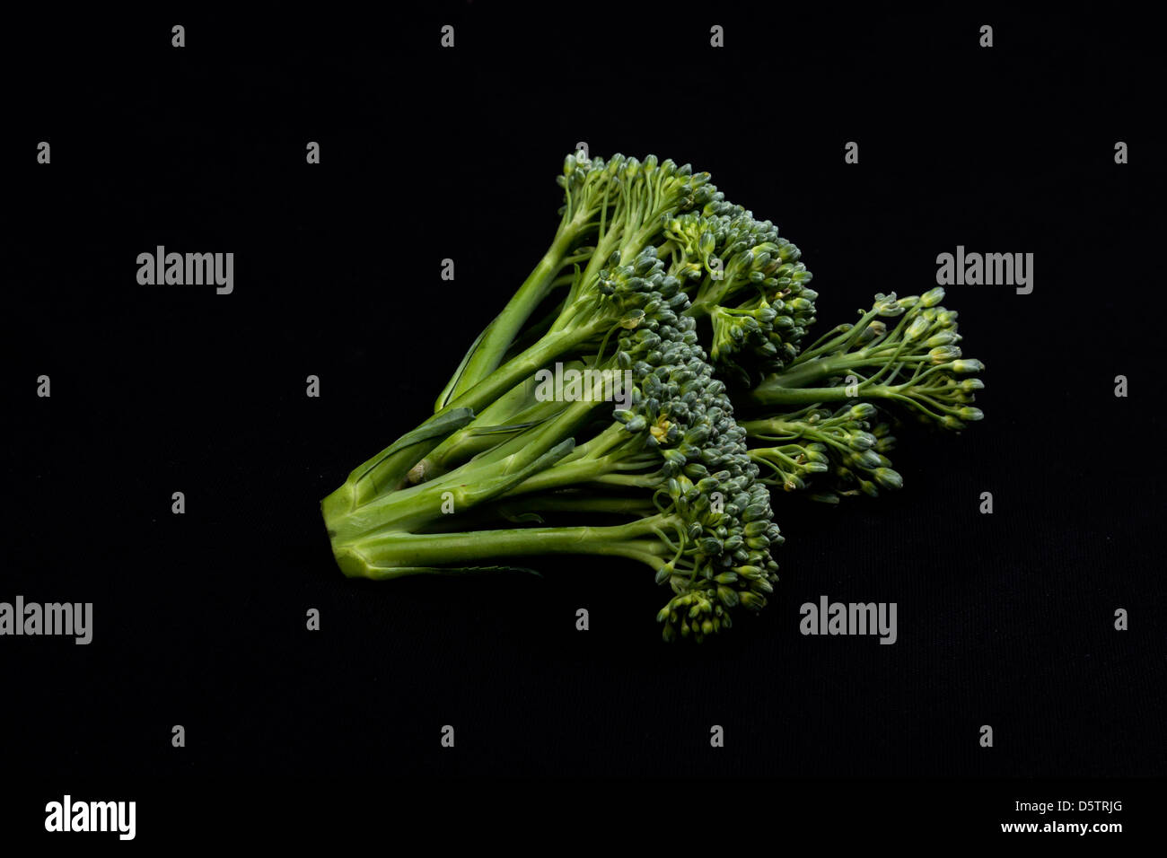 Food picture of broccoli hi-res stock photography and images - Alamy