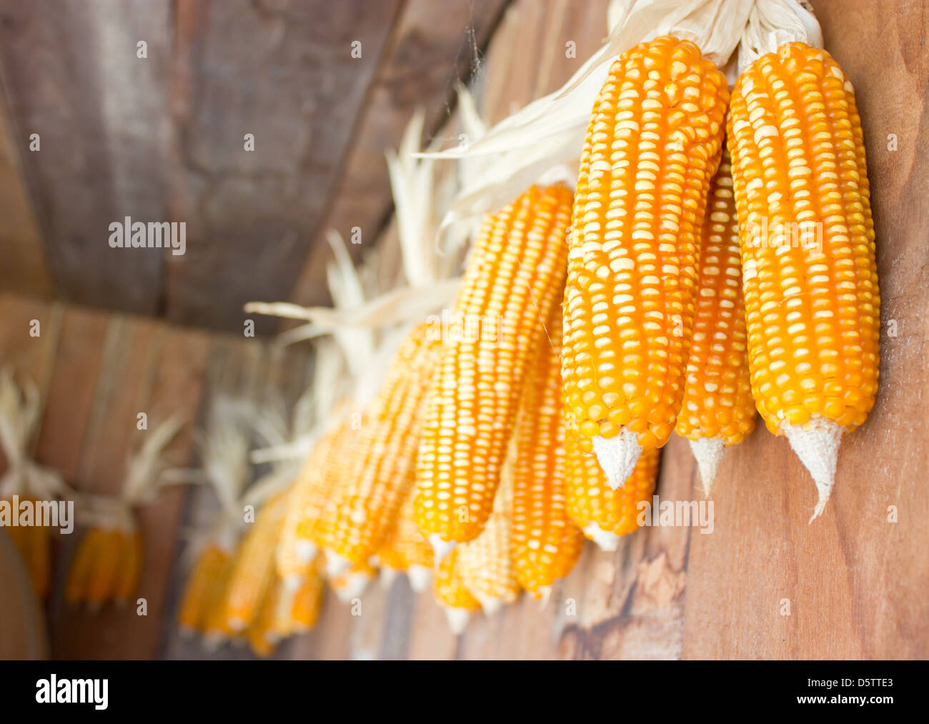 Close Up Plastic Corns Hang On Wooden Wall Stock Photo - Alamy