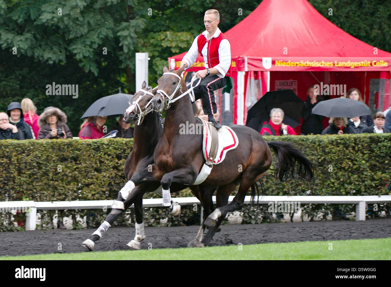 Beluga place hi-res stock photography and images - Alamy