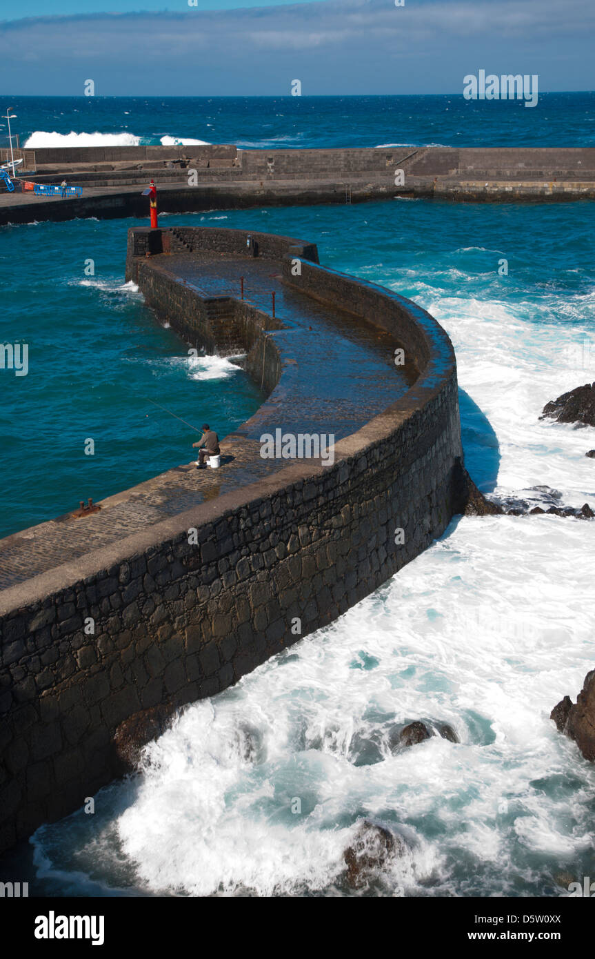 Muelle Pesquero port Puerto de la Cruz city Tenerife island the Canary ...