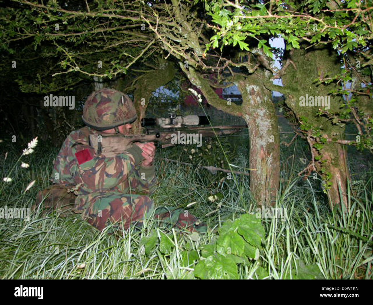sniper,British, army, rifle, l96 sniper rifle Stock Photo - Alamy
