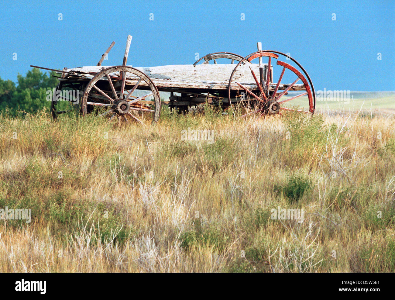Buck board hi-res stock photography and images - Alamy