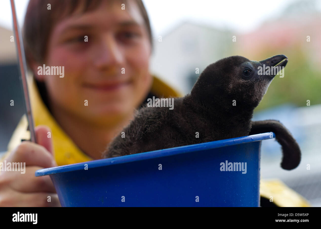 Sean michael hi-res stock photography and images - Alamy