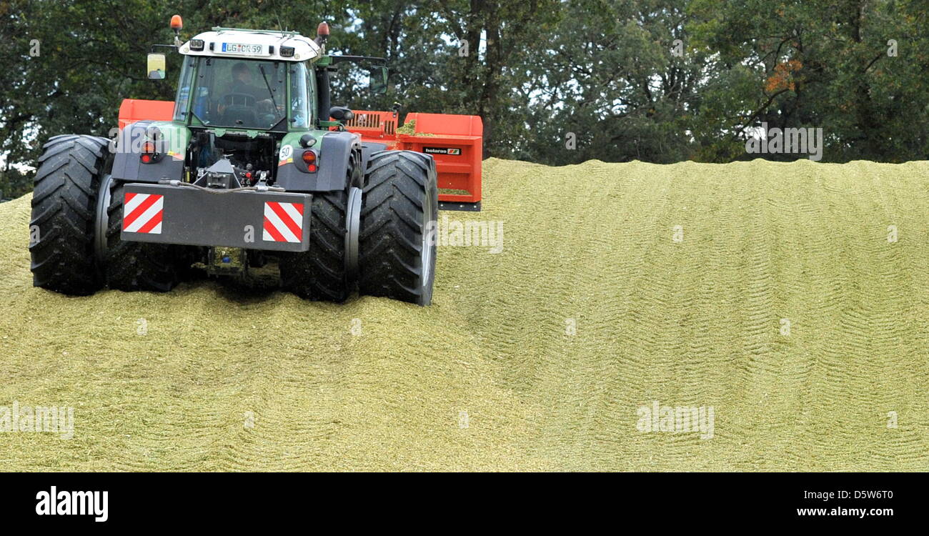 Silage is piled up at a biogas plant near Ebstorf, Germany, 03 October ...