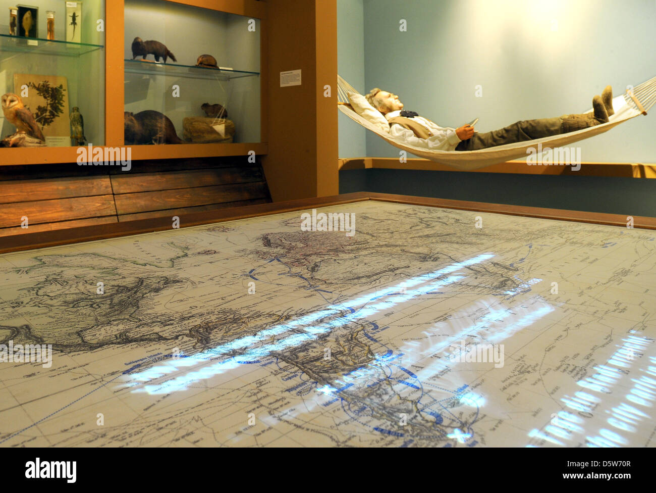 A map of the expedition route of researcher Charles Darwin, a glass ...