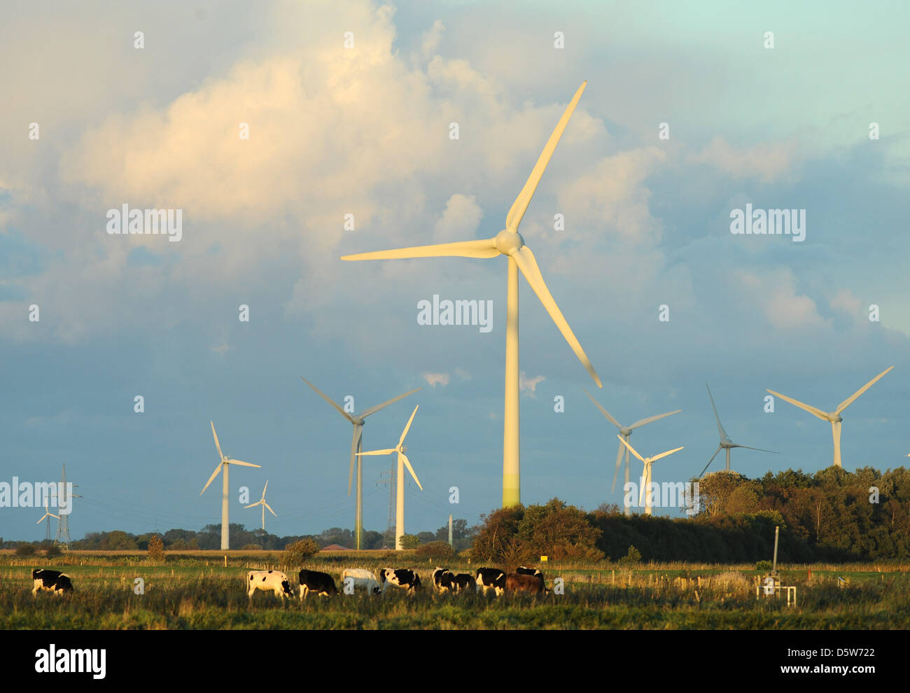Norden, germany hi-res stock photography and images - Alamy