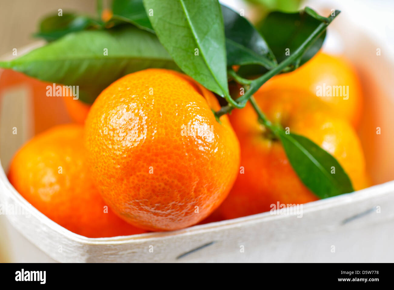 Satsuma with leaves hi-res stock photography and images - Alamy