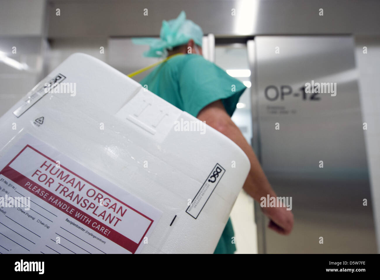 A styrofoam container for the transport of donated organs is pictured ...