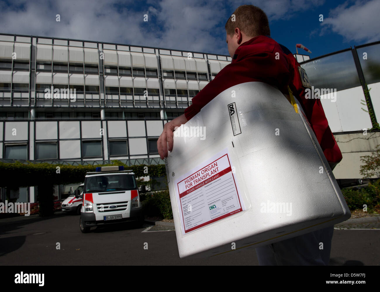 A styrofoam container for the transport of donated organs is pictured ...