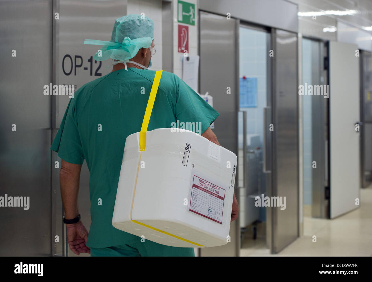 Styrofoam container transport donated organs hi-res stock photography ...