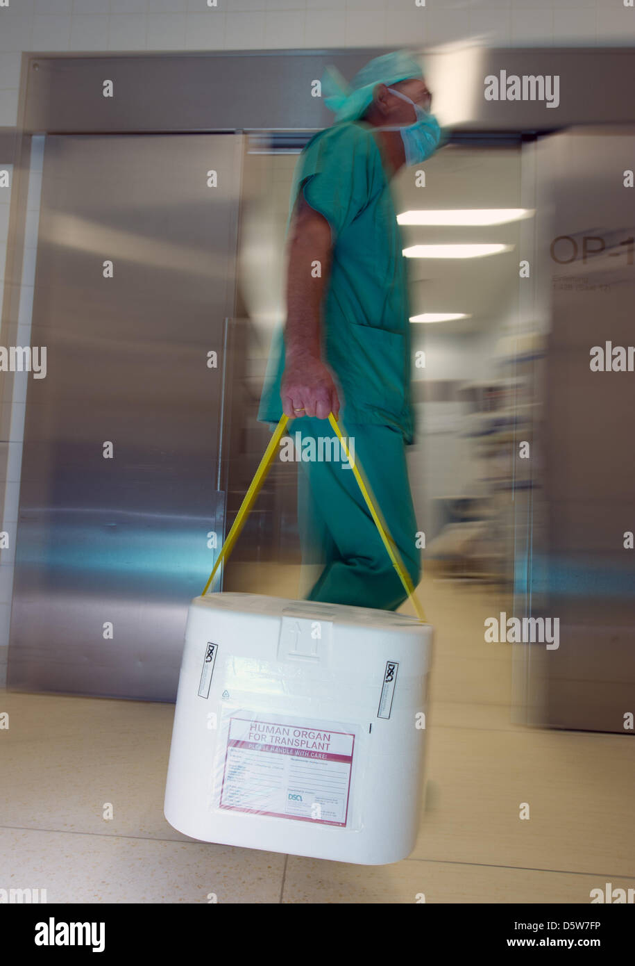 Styrofoam container transport donated organs hi-res stock photography ...