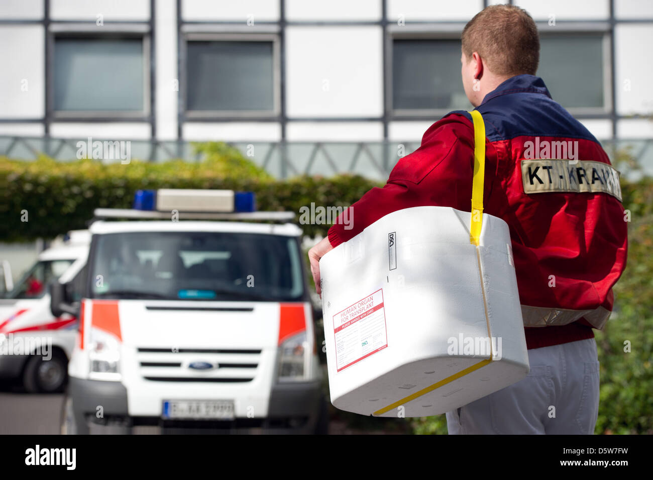 A styrofoam container for the transport of donated organs is pictured ...