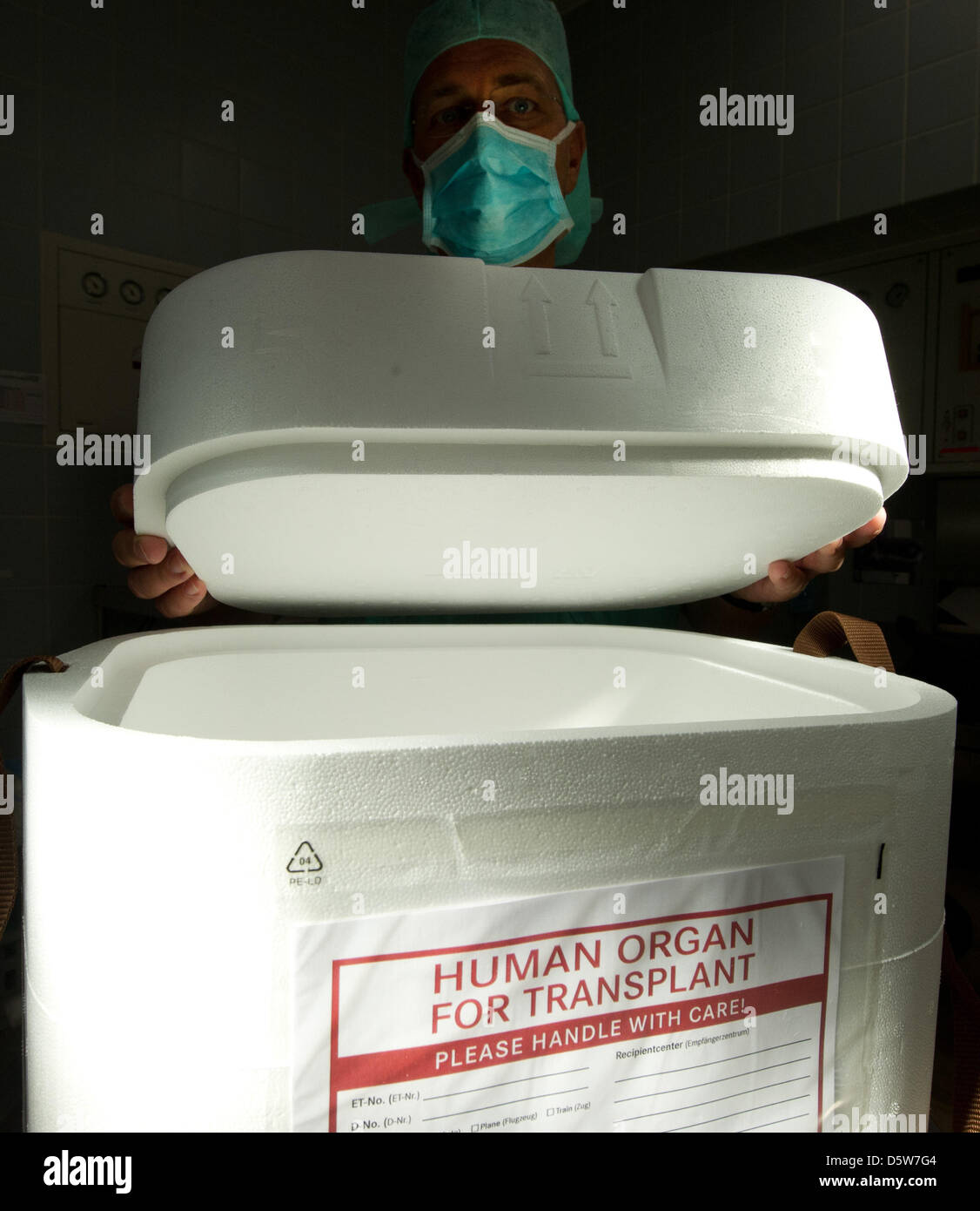 A styrofoam container for the transport of donated organs is pictured ...