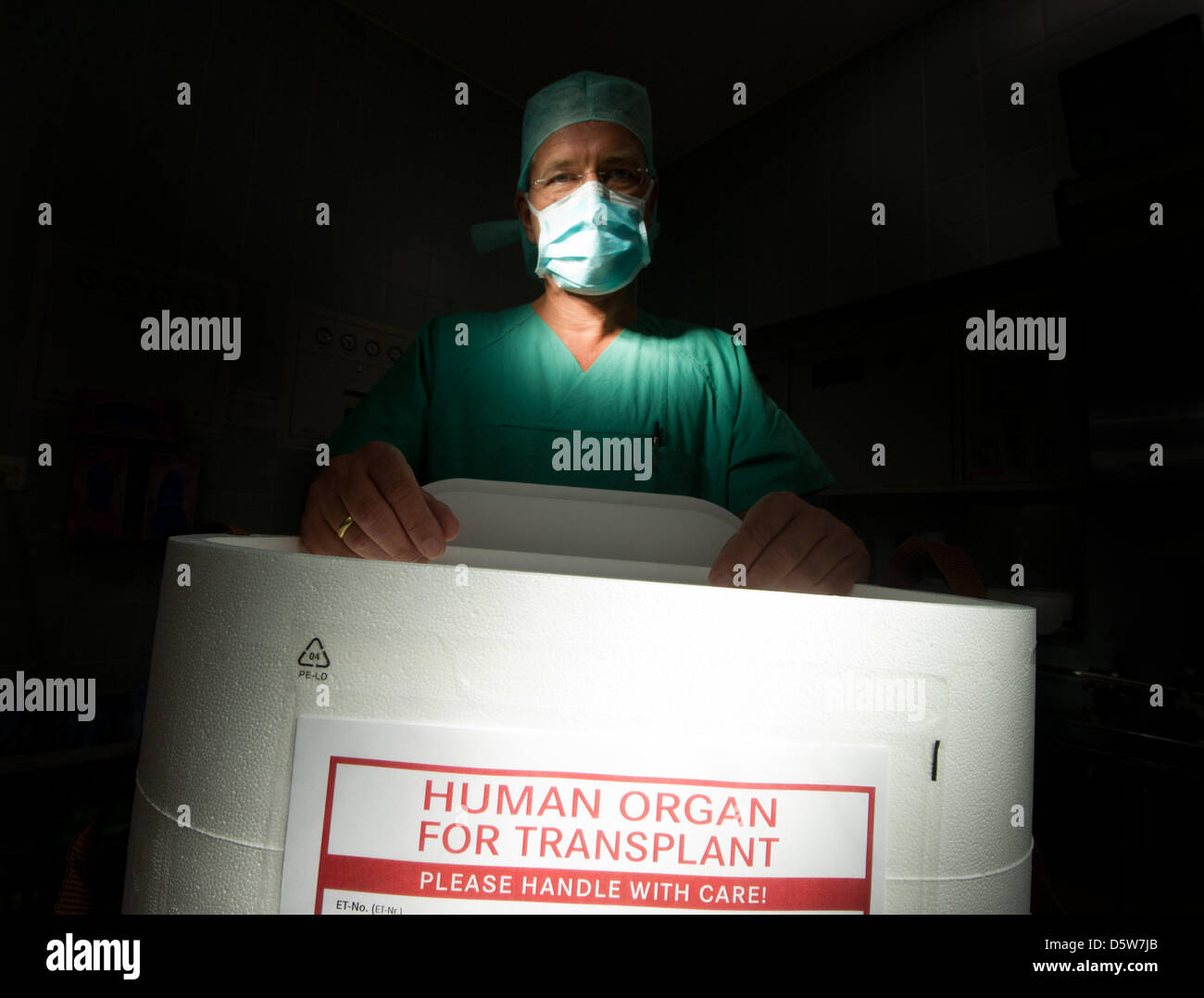 A styrofoam container for the transport of donated organs is pictured ...