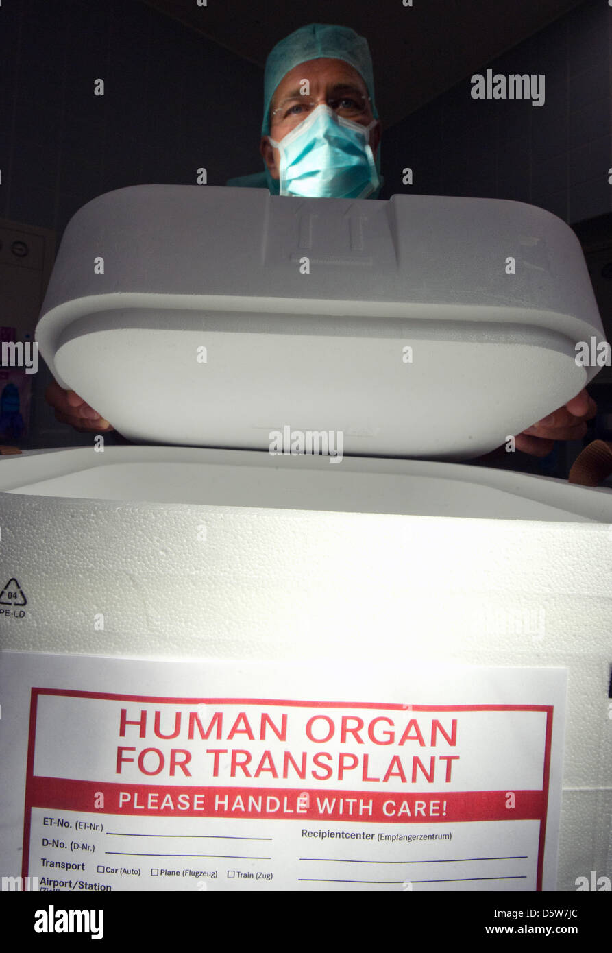 A styrofoam container for the transport of donated organs is pictured ...