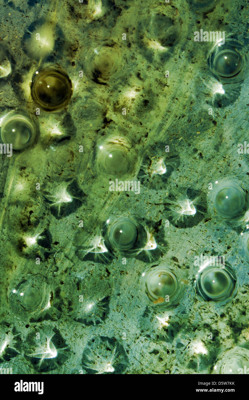surface with waterdrops Stock Photo - Alamy