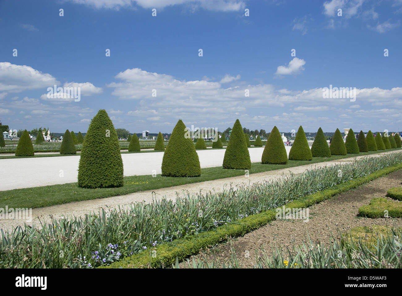 Park of The Palace of Versailles Stock Photo - Alamy