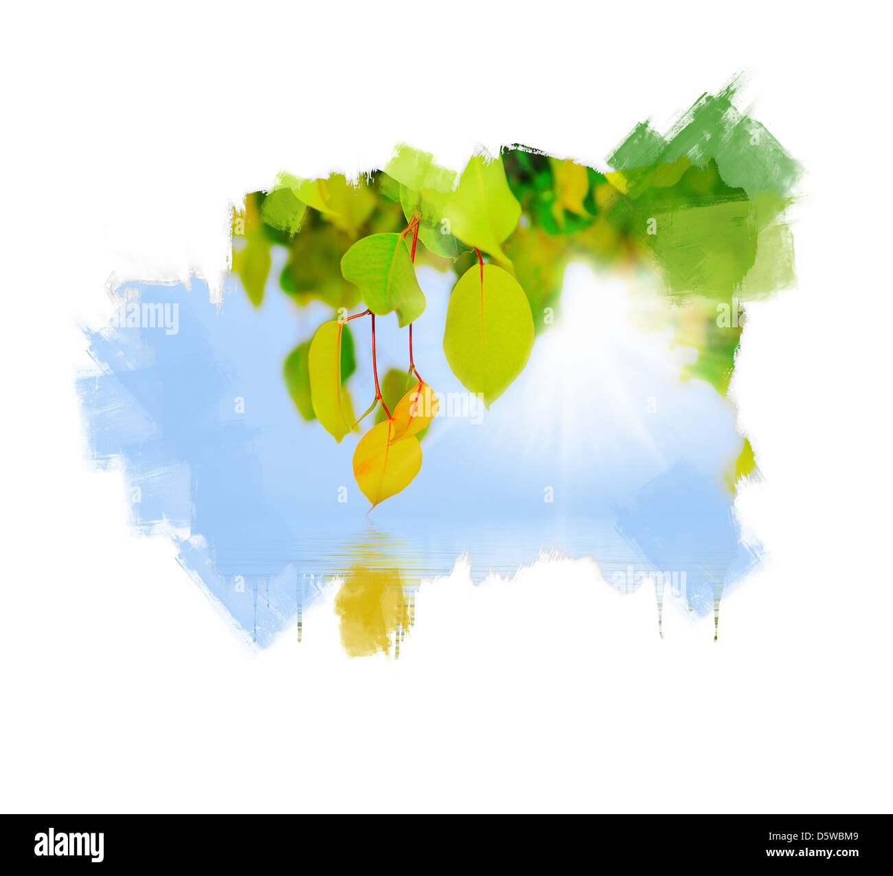 Green leaf on a tree Stock Photo - Alamy