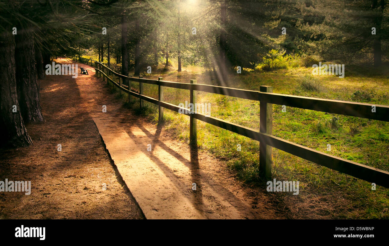 Shining Path High Resolution Stock Photography and Images - Alamy