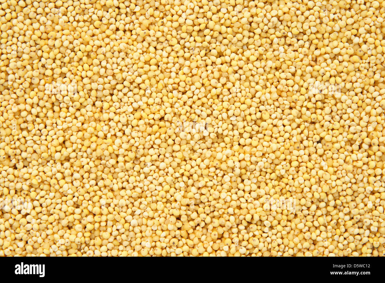 Millet background. Abstract food textures Stock Photo - Alamy