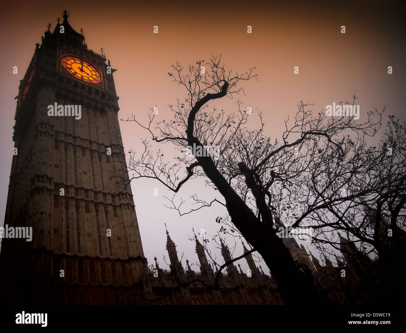 The spooky clock tower of Westminster with bare tree in autumn Stock ...